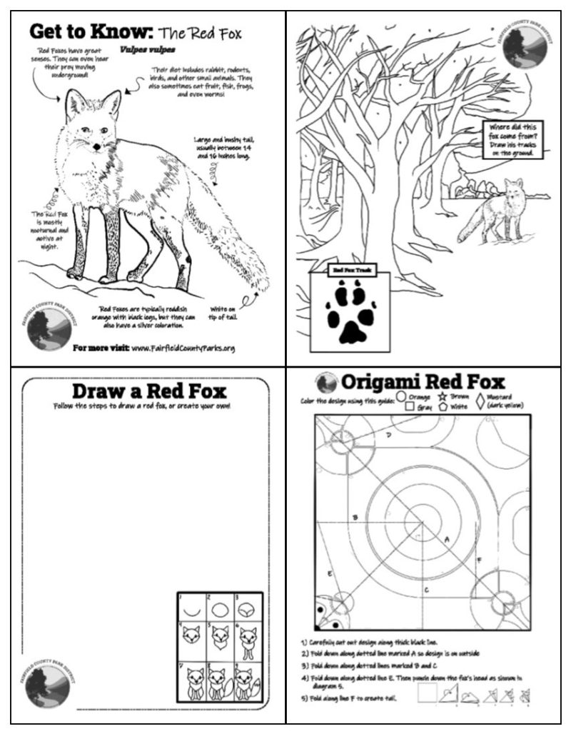Nature Connection – Fairfield County Park District