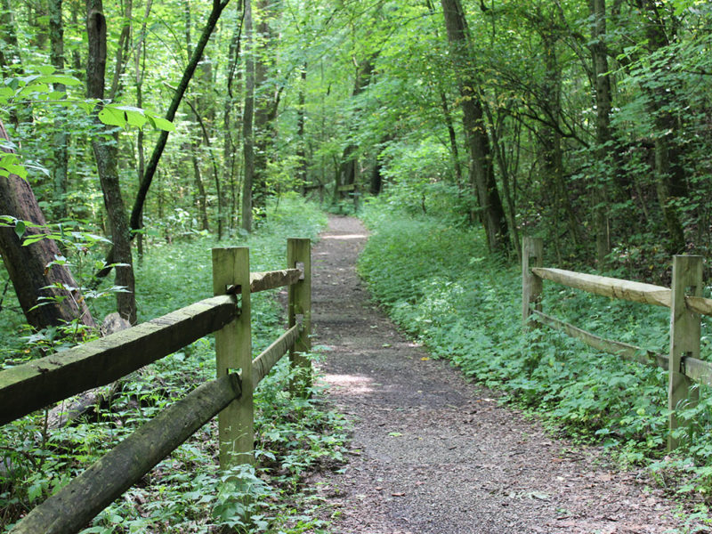 Cross Mound Park – Fairfield County Park District