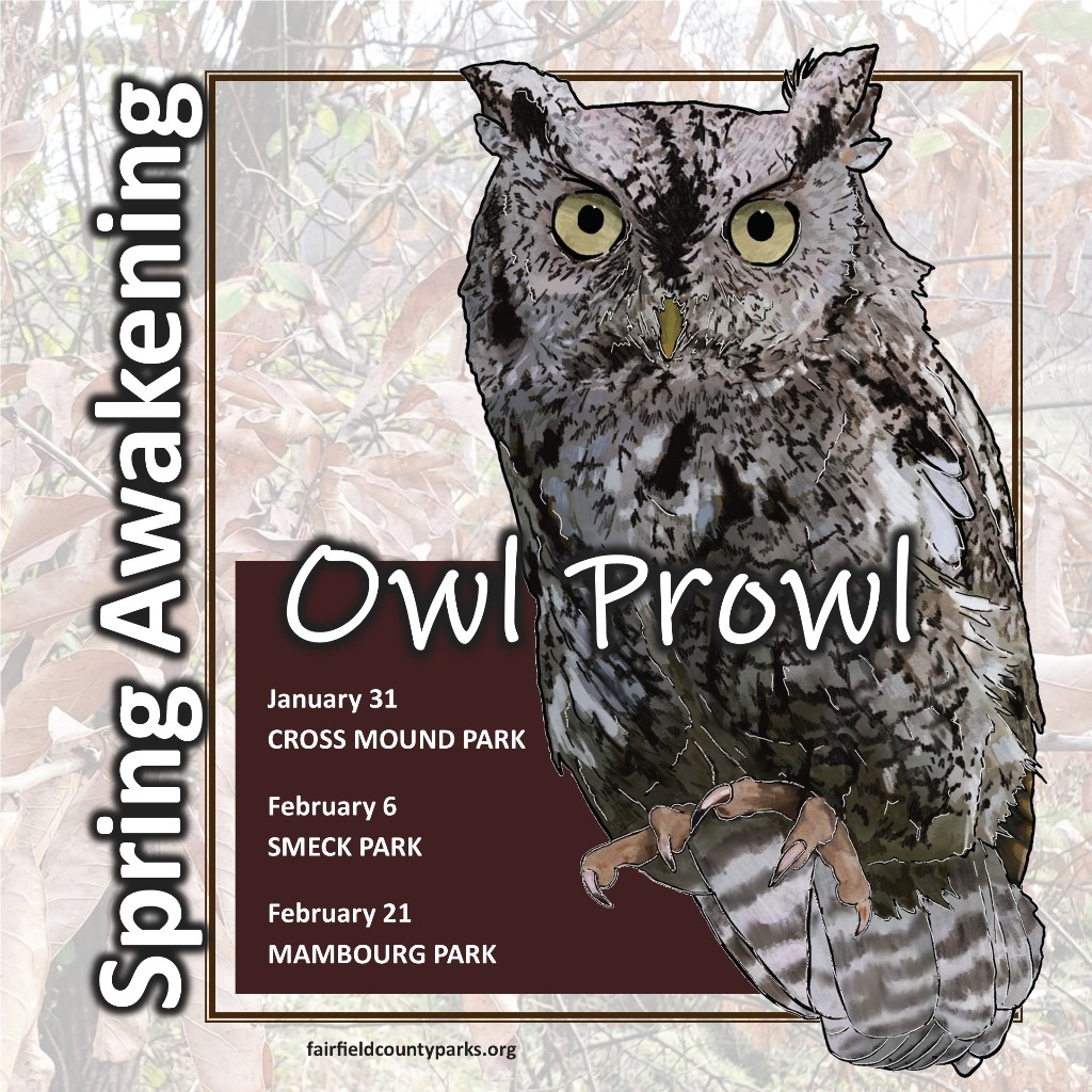 Owl Prowl Series 2026 (Multiple Locations) – Fairfield County Park District